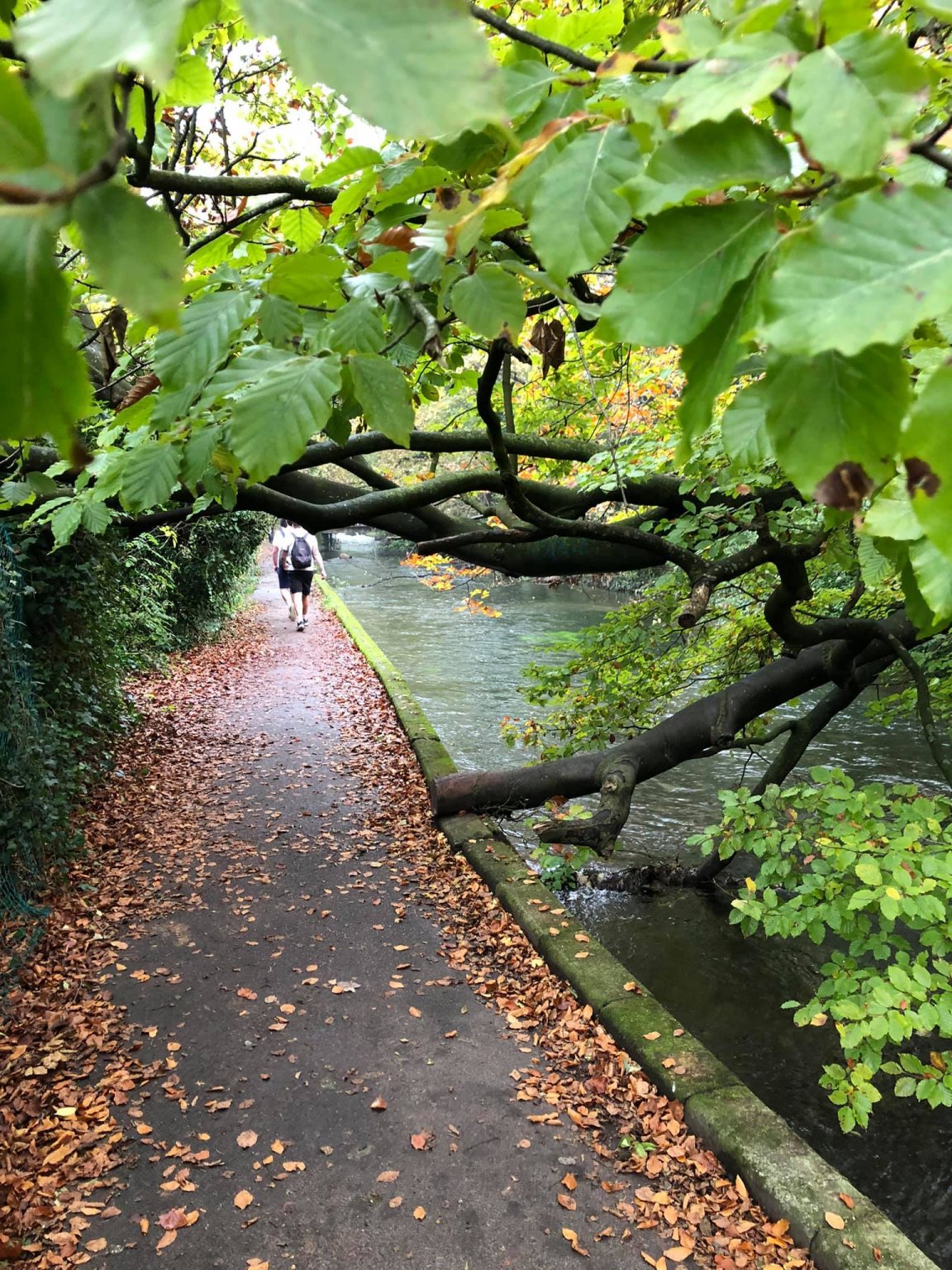 6 Special and family-friendly riverside walks in Hampshire - Our Hampshire