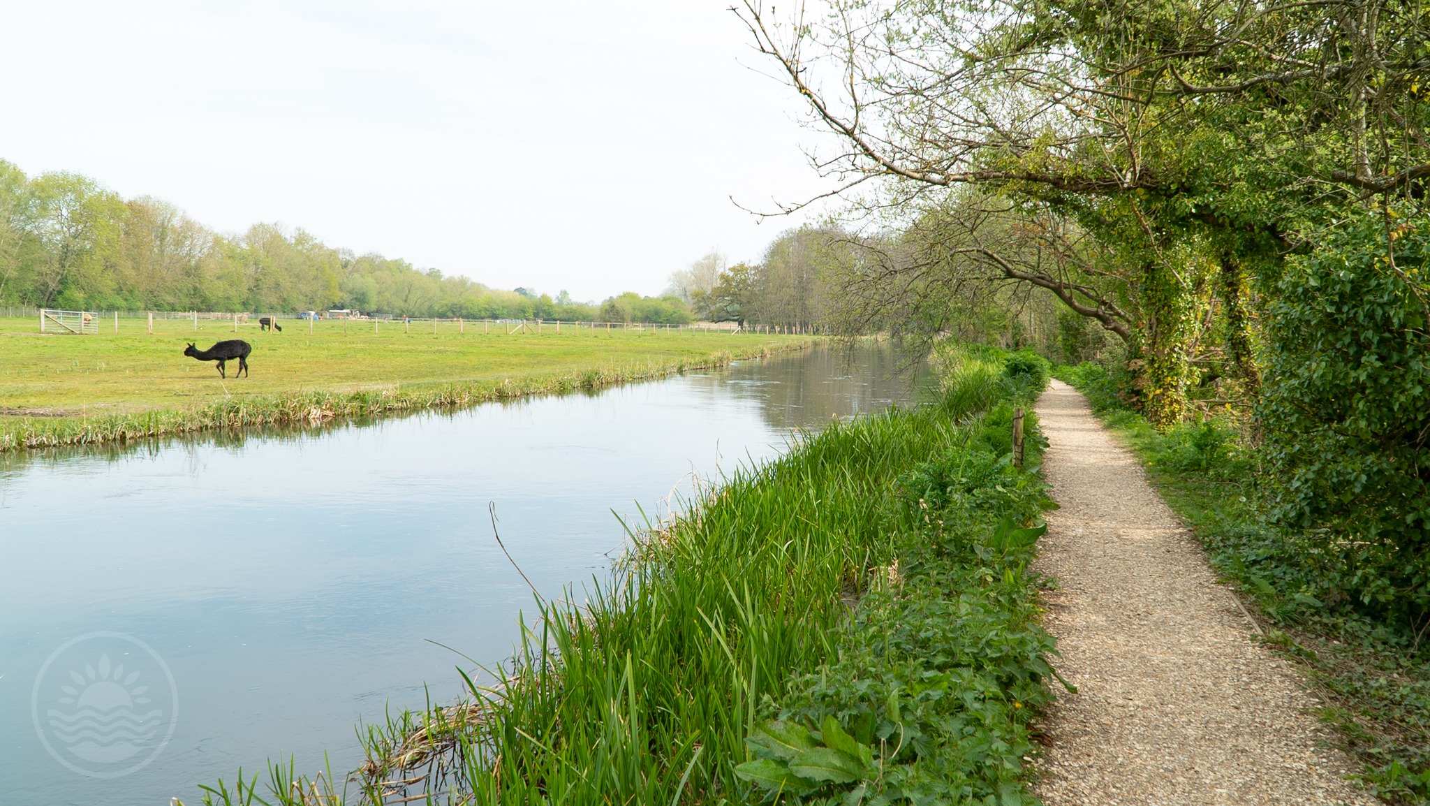 6 Special and family-friendly riverside walks in Hampshire - Our Hampshire