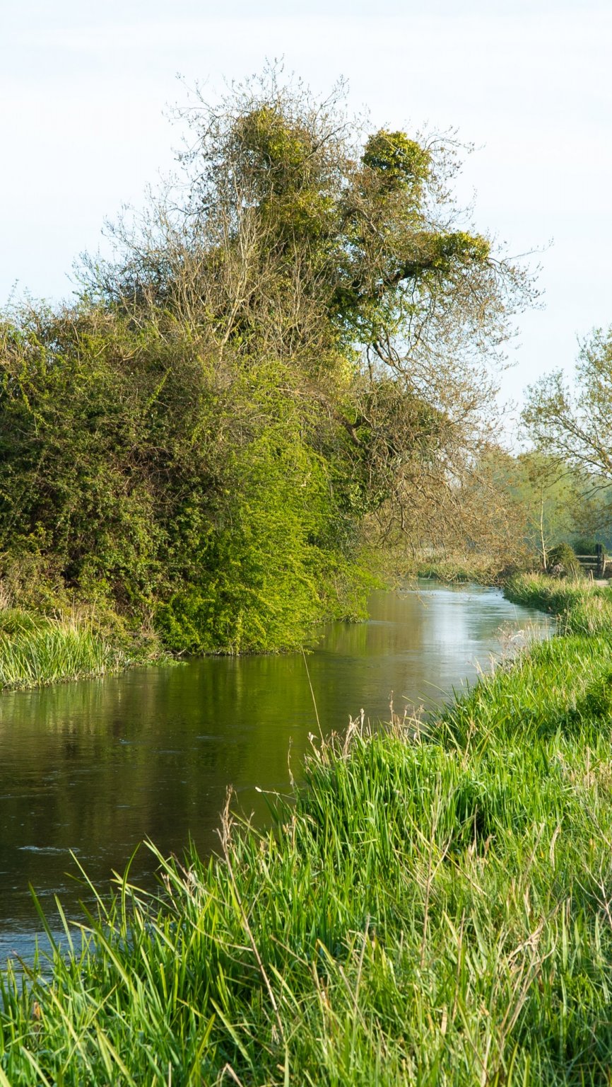 6 Special and family-friendly riverside walks in Hampshire - Our Hampshire
