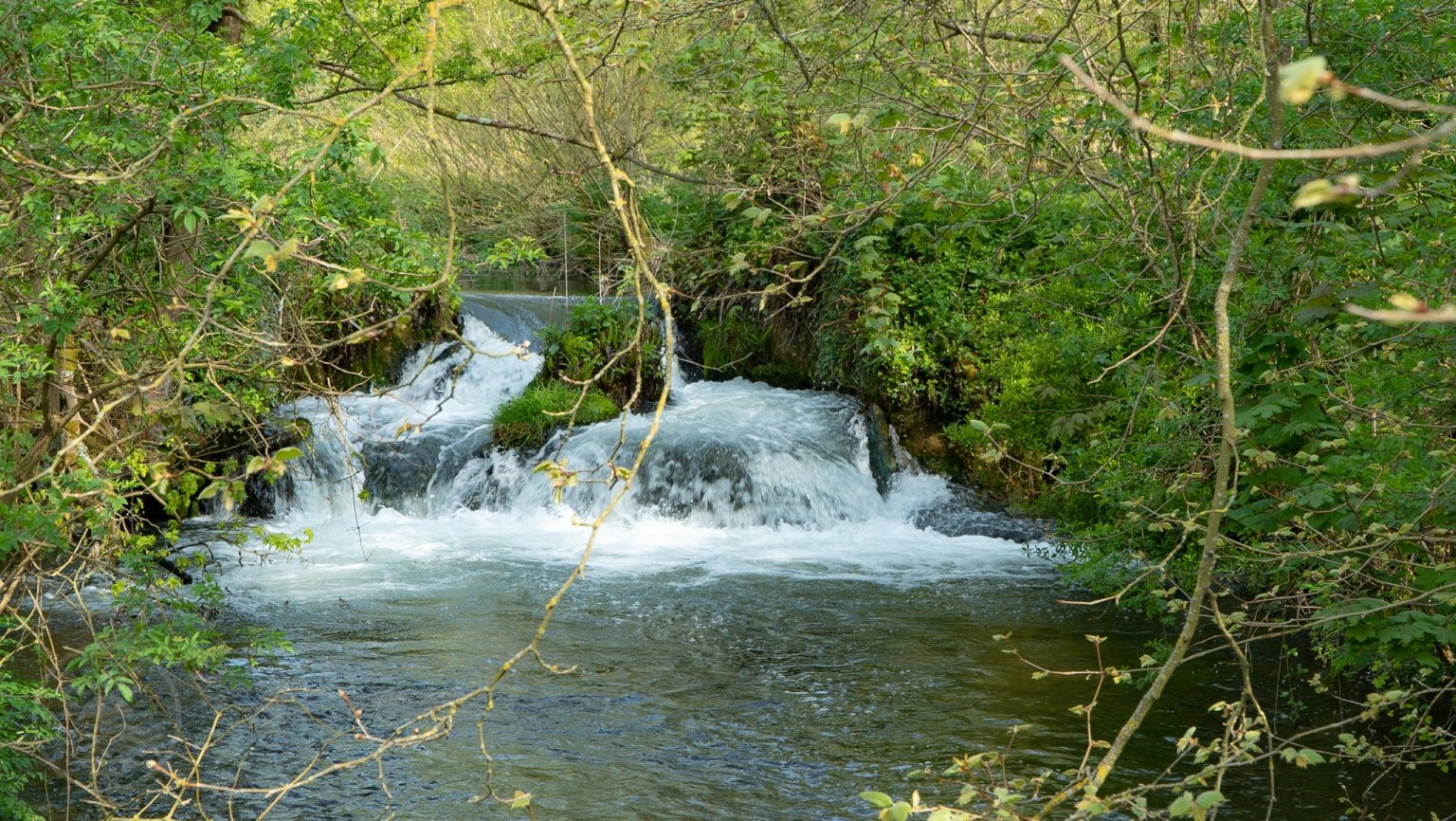 6 Special and family-friendly riverside walks in Hampshire - Our Hampshire