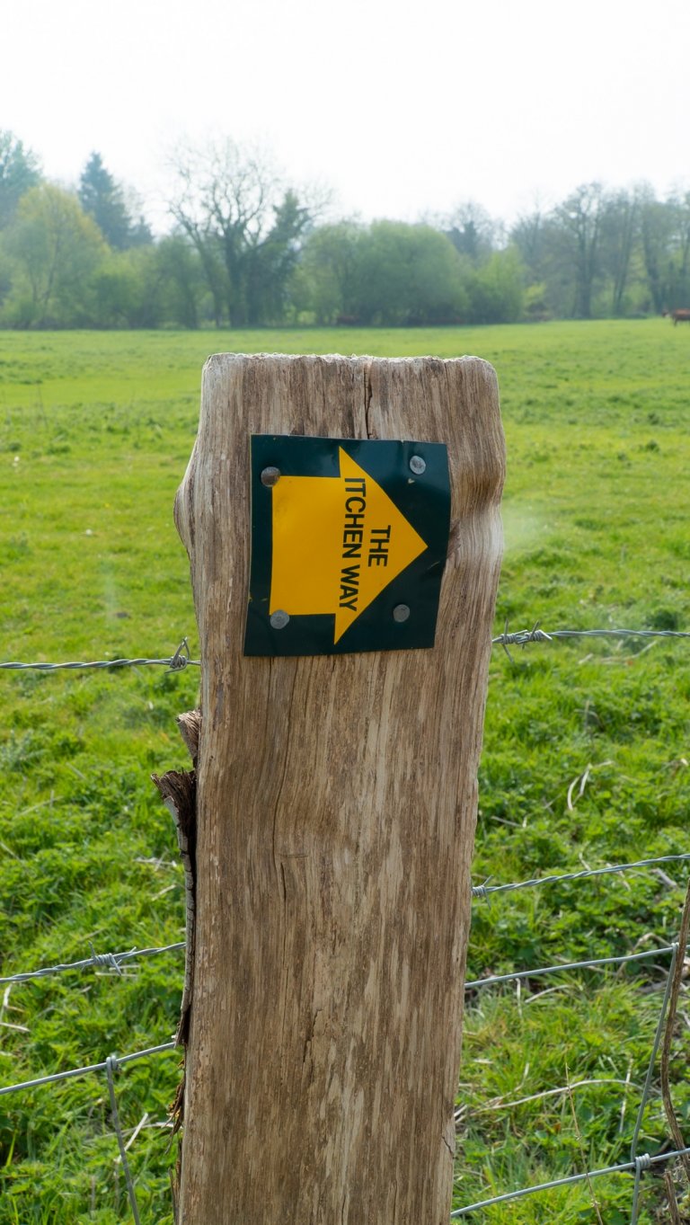 6 Special and family-friendly riverside walks in Hampshire - Our Hampshire