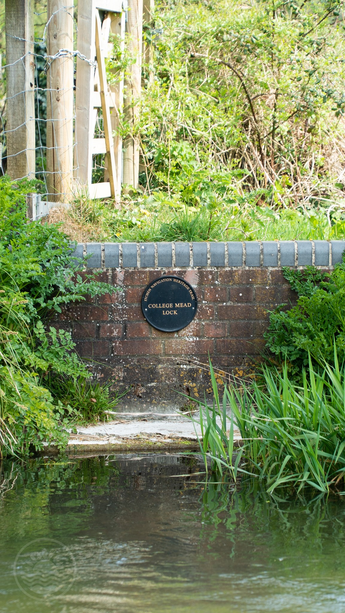 6 Special and family-friendly riverside walks in Hampshire - Our Hampshire