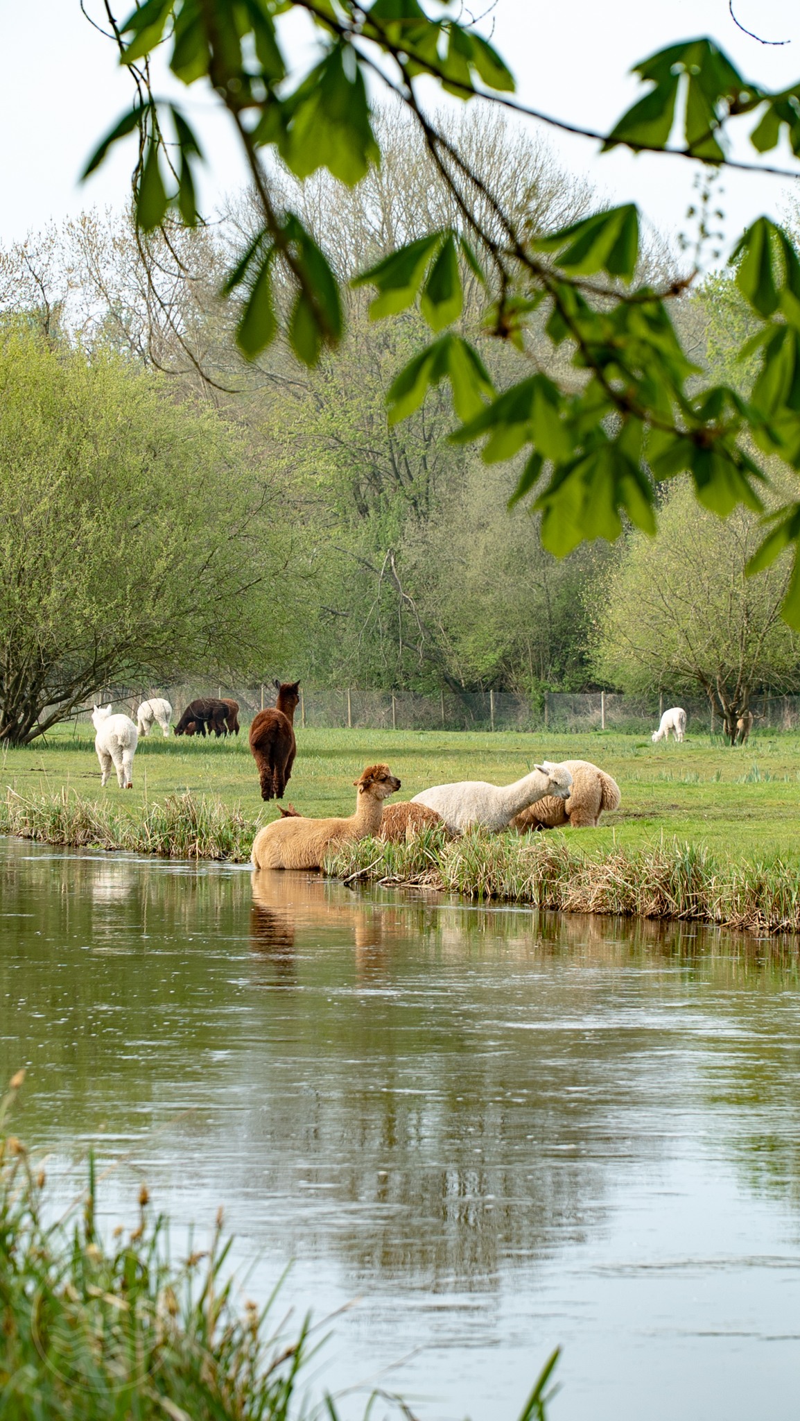 6 Special and family-friendly riverside walks in Hampshire - Our Hampshire