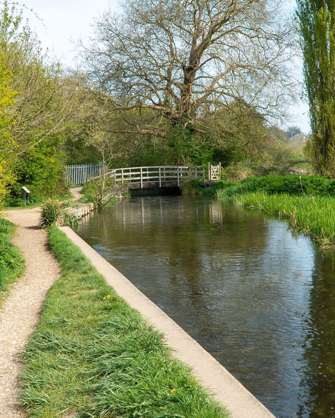 6 Special and family-friendly riverside walks in Hampshire - Our Hampshire