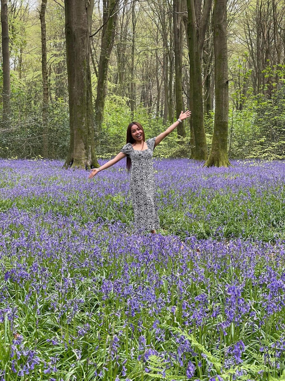 5 Beautiful bluebells spots to visit in Hampshire - Our Hampshire
