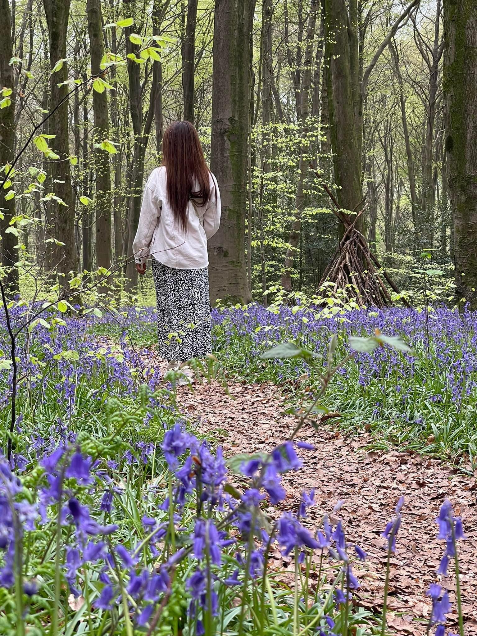 5 Beautiful bluebells spots to visit in Hampshire - Our Hampshire