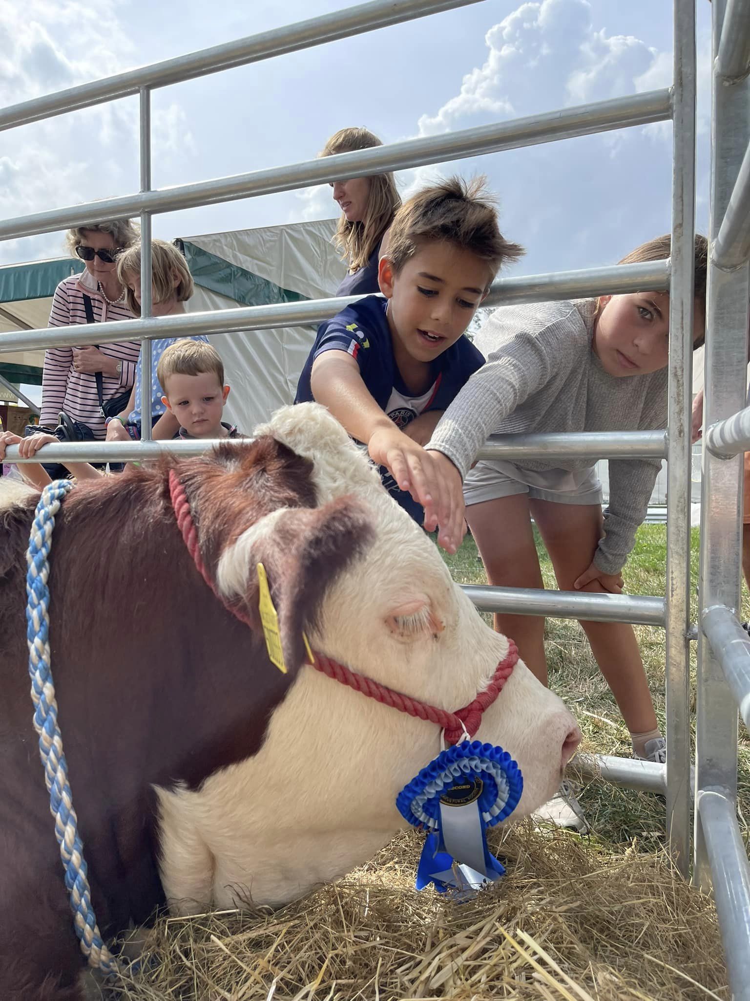 Take the kids to Alresford Agricultural Show for a great animal ...