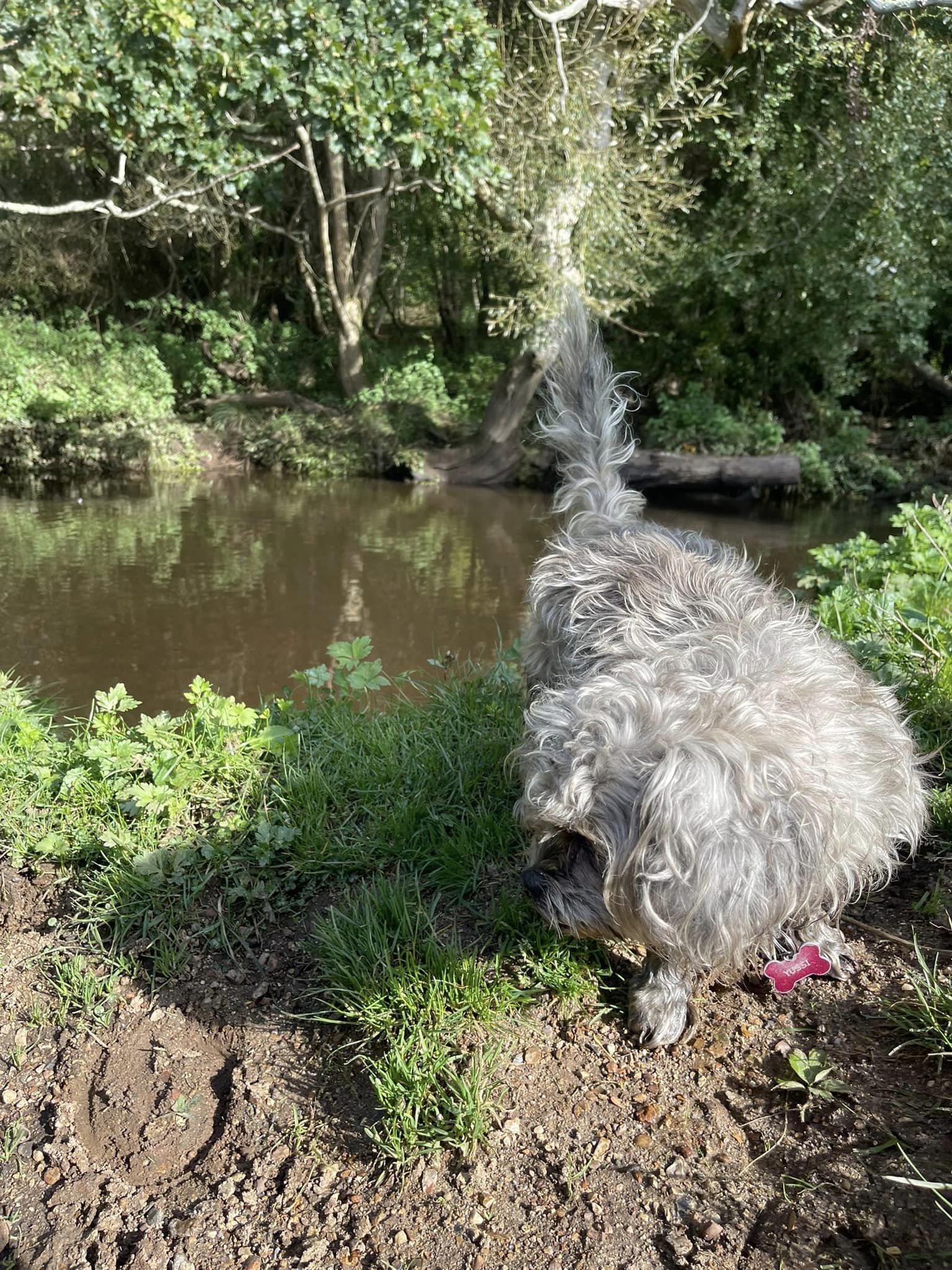 A lovely walk and tea break in Boldre Village, New Forest - Our Hampshire