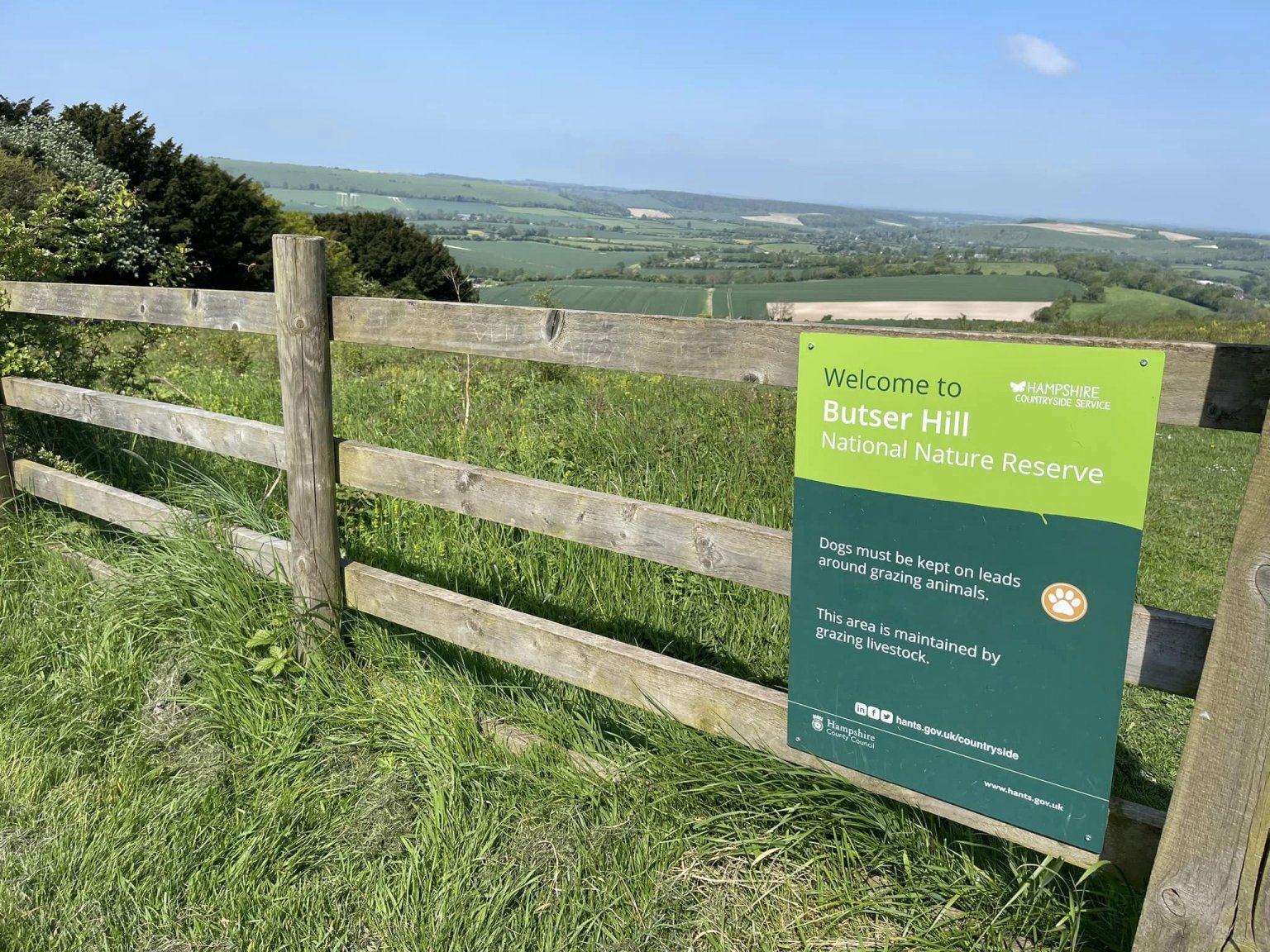 6 Local hill walks with stunning views to enjoy - Our Hampshire