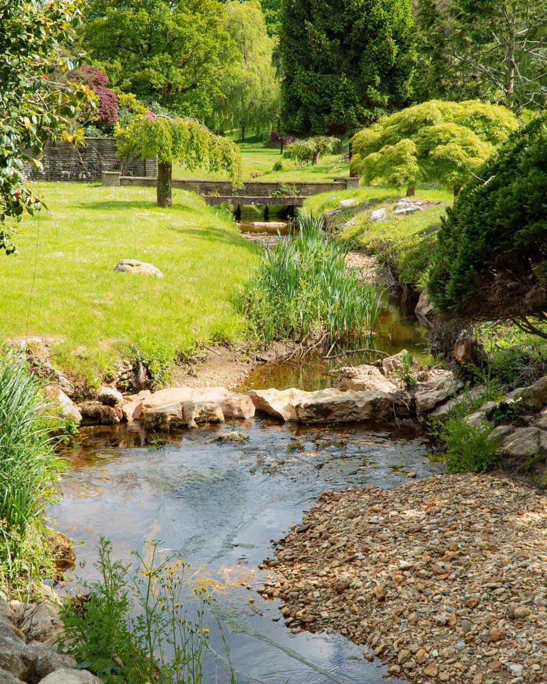 6 Special and family-friendly riverside walks in Hampshire - Our Hampshire