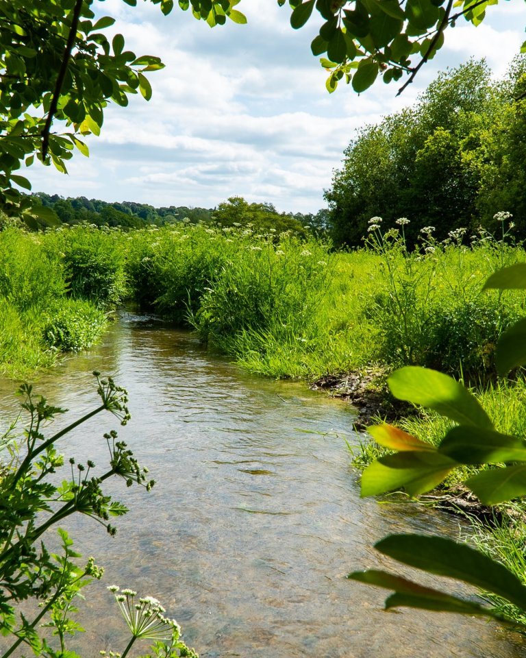 6 Special and family-friendly riverside walks in Hampshire - Our Hampshire