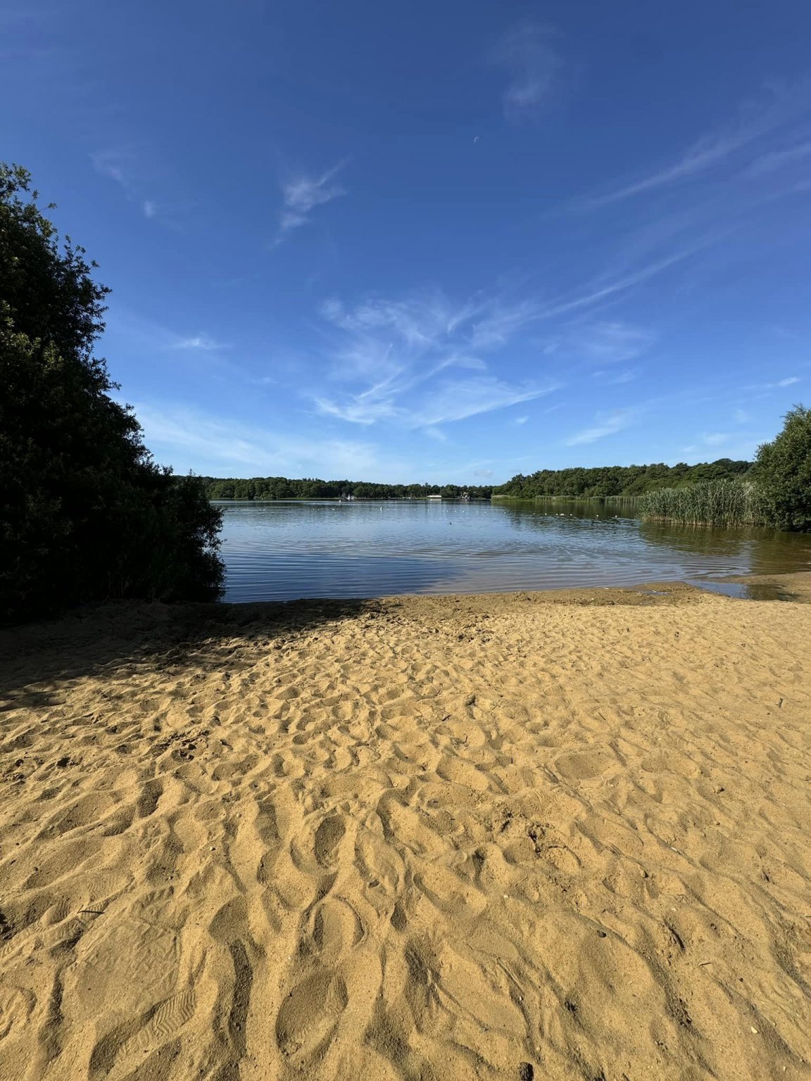 Frensham Great Pond: A Perfect Day Out for Wild Swimming and Exploring ...