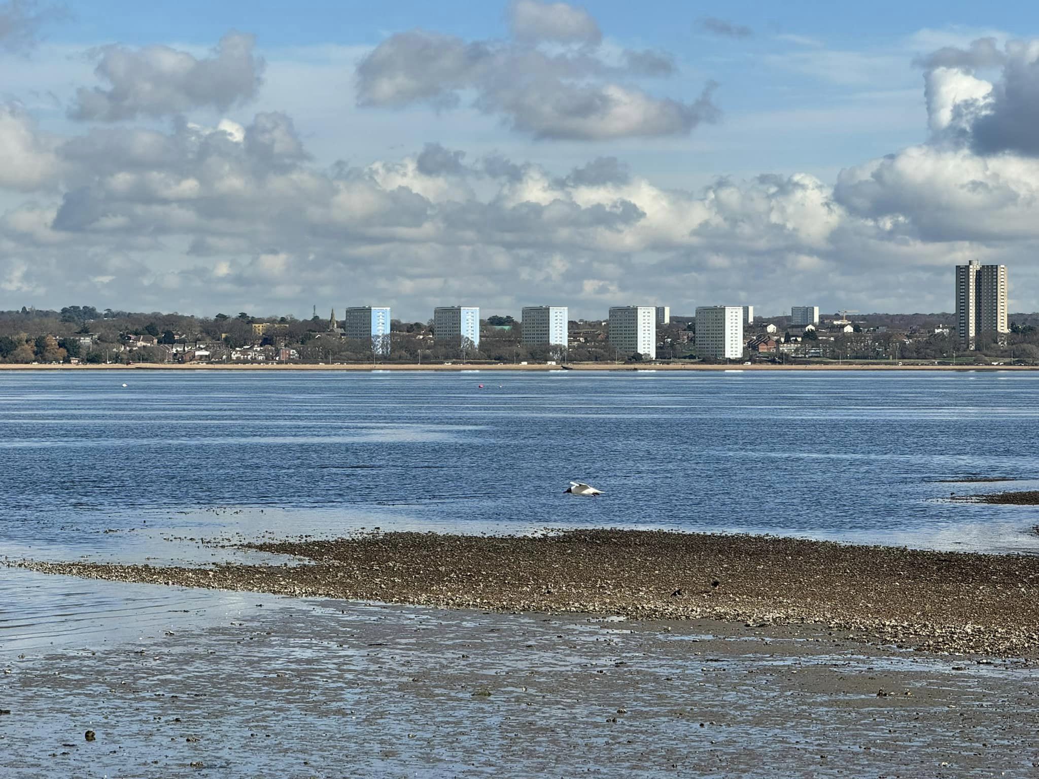 Enjoy Hythe's waterfront activities for a great family morning in ...