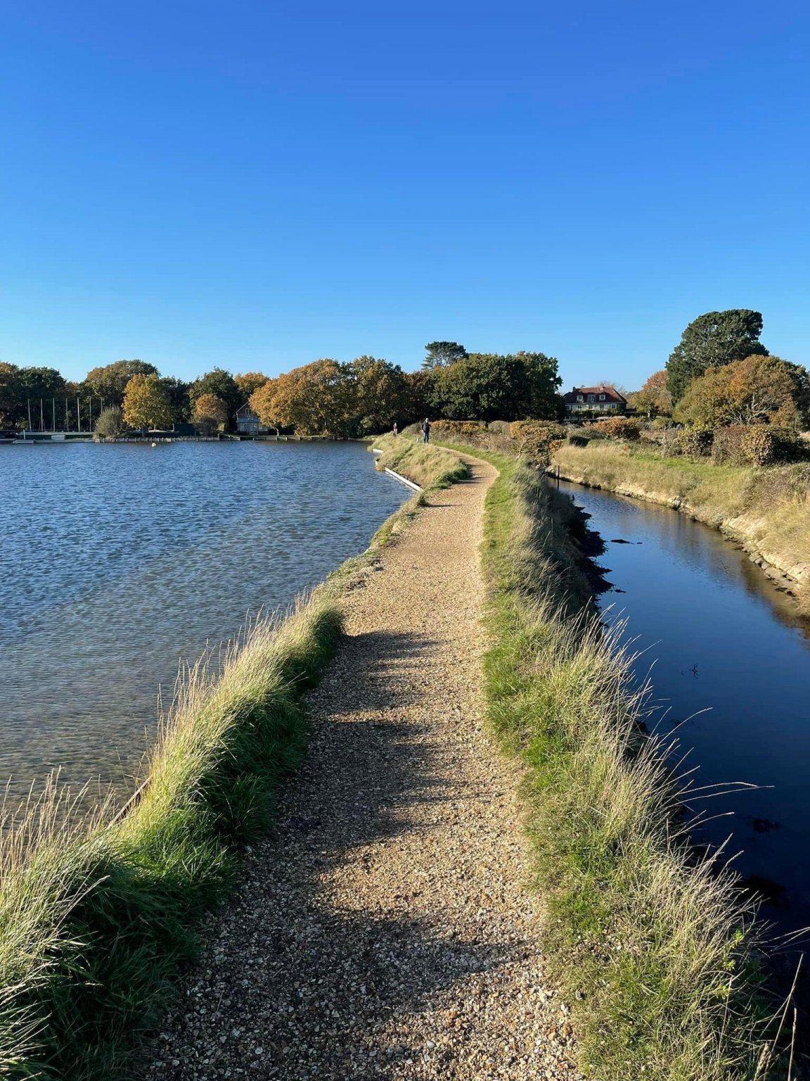 12 Family Friendly Walks in the New Forest - Our Hampshire