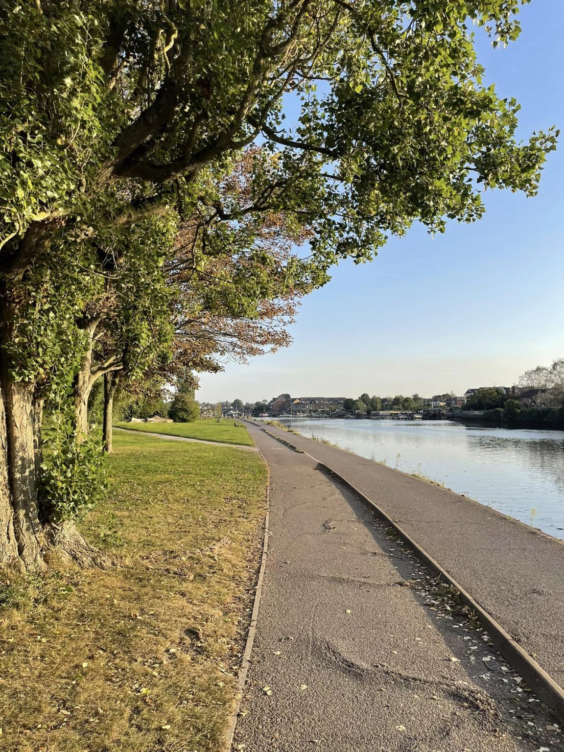 6 Special and family-friendly riverside walks in Hampshire - Our Hampshire