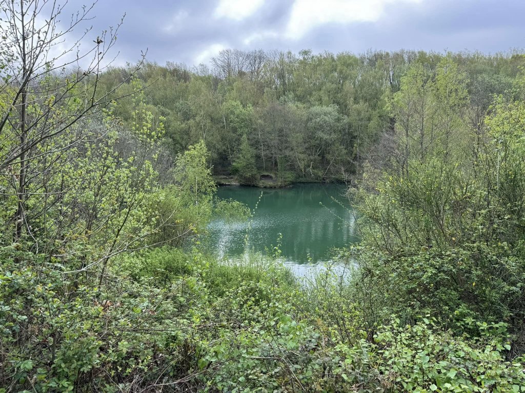Swanwick Lakes is a beautiful oasis with woodland, lakes & meadows ...