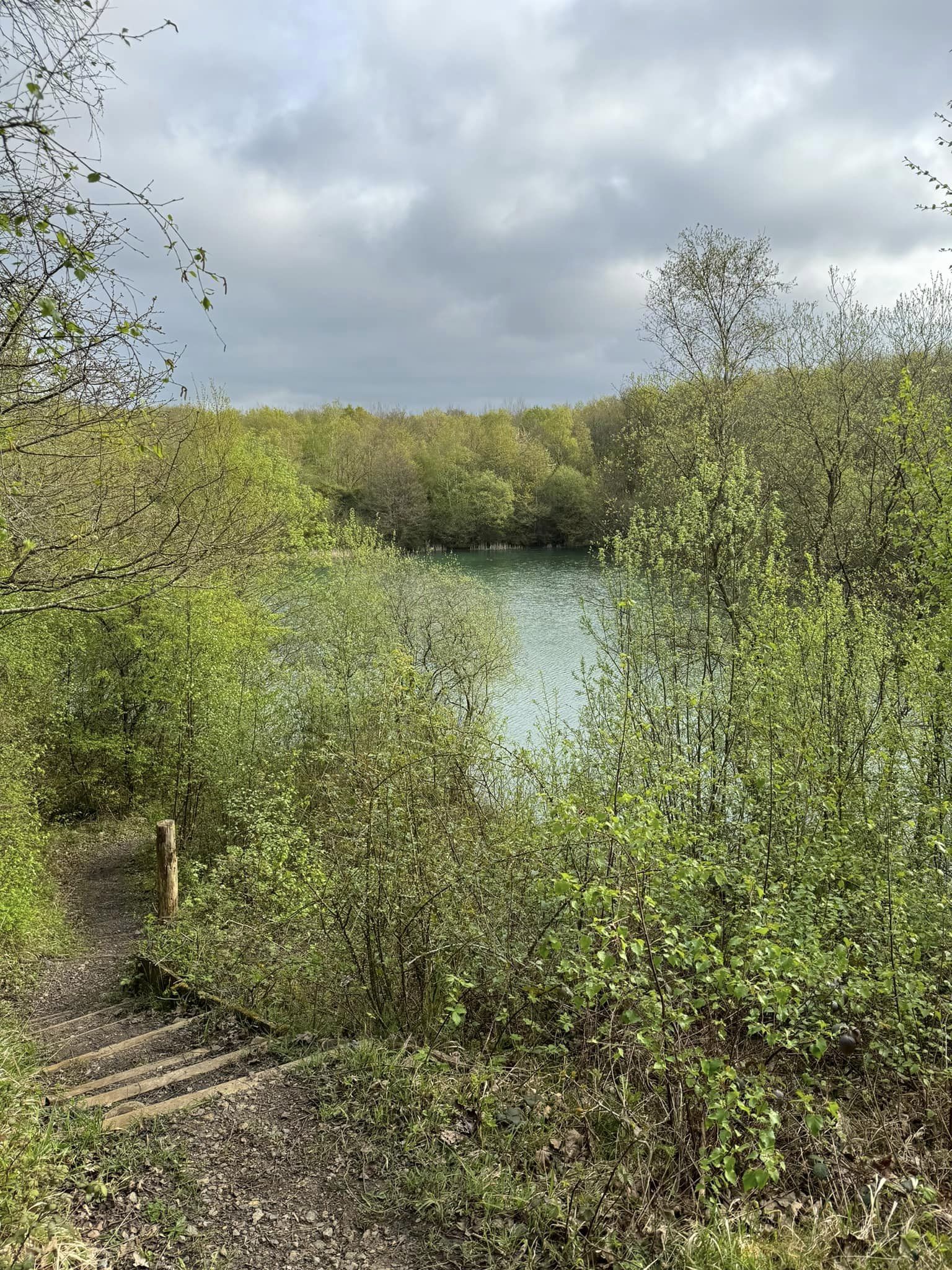Swanwick Lakes is a beautiful oasis with woodland, lakes & meadows ...