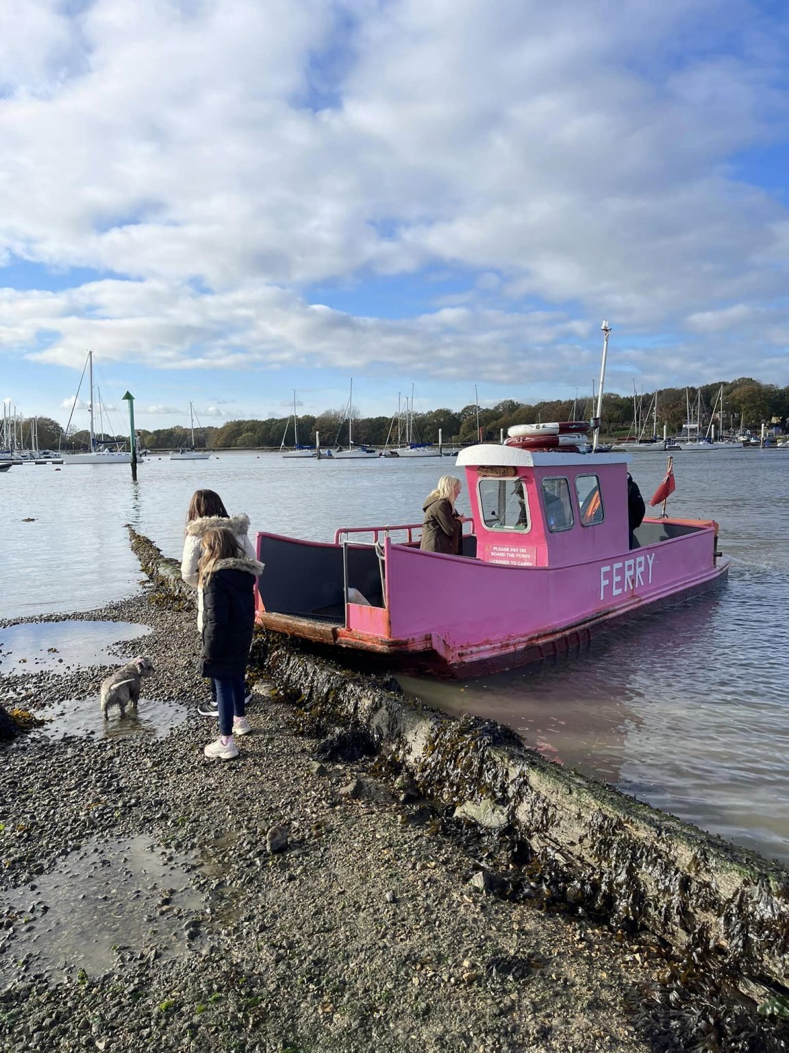 6 Special and family-friendly riverside walks in Hampshire - Our Hampshire