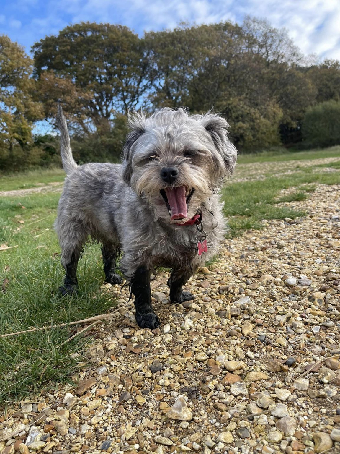 6 Special and family-friendly riverside walks in Hampshire - Our Hampshire