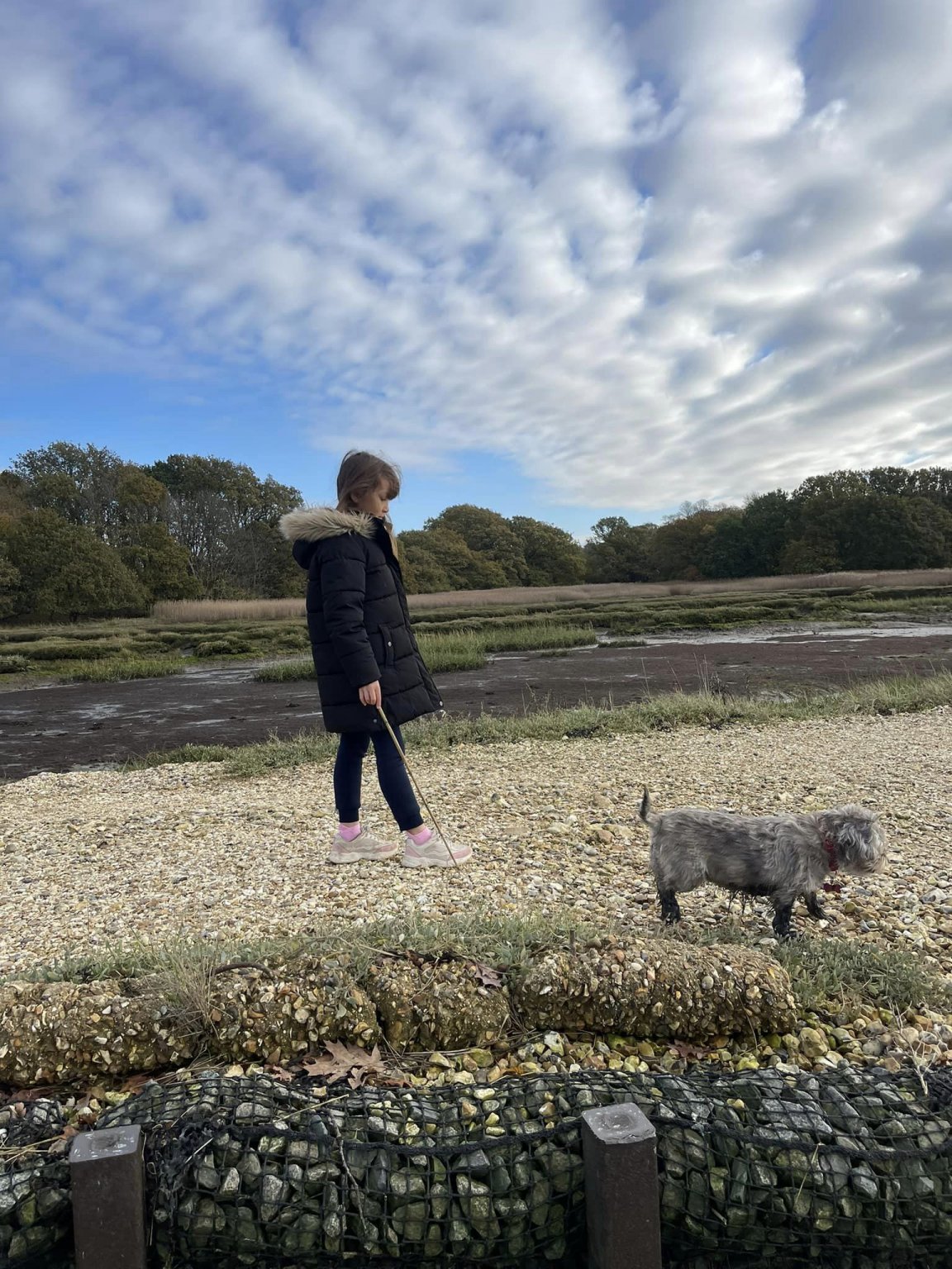 6 Special and family-friendly riverside walks in Hampshire - Our Hampshire