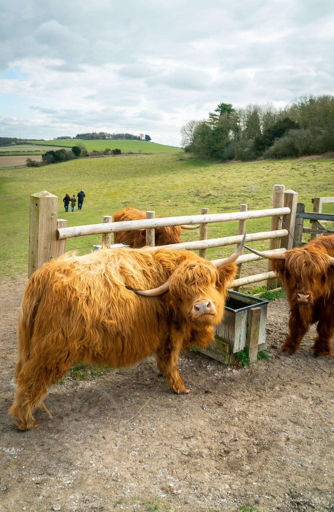 A beautiful 20km circular walk around Stockbridge, Test Valley - Our ...