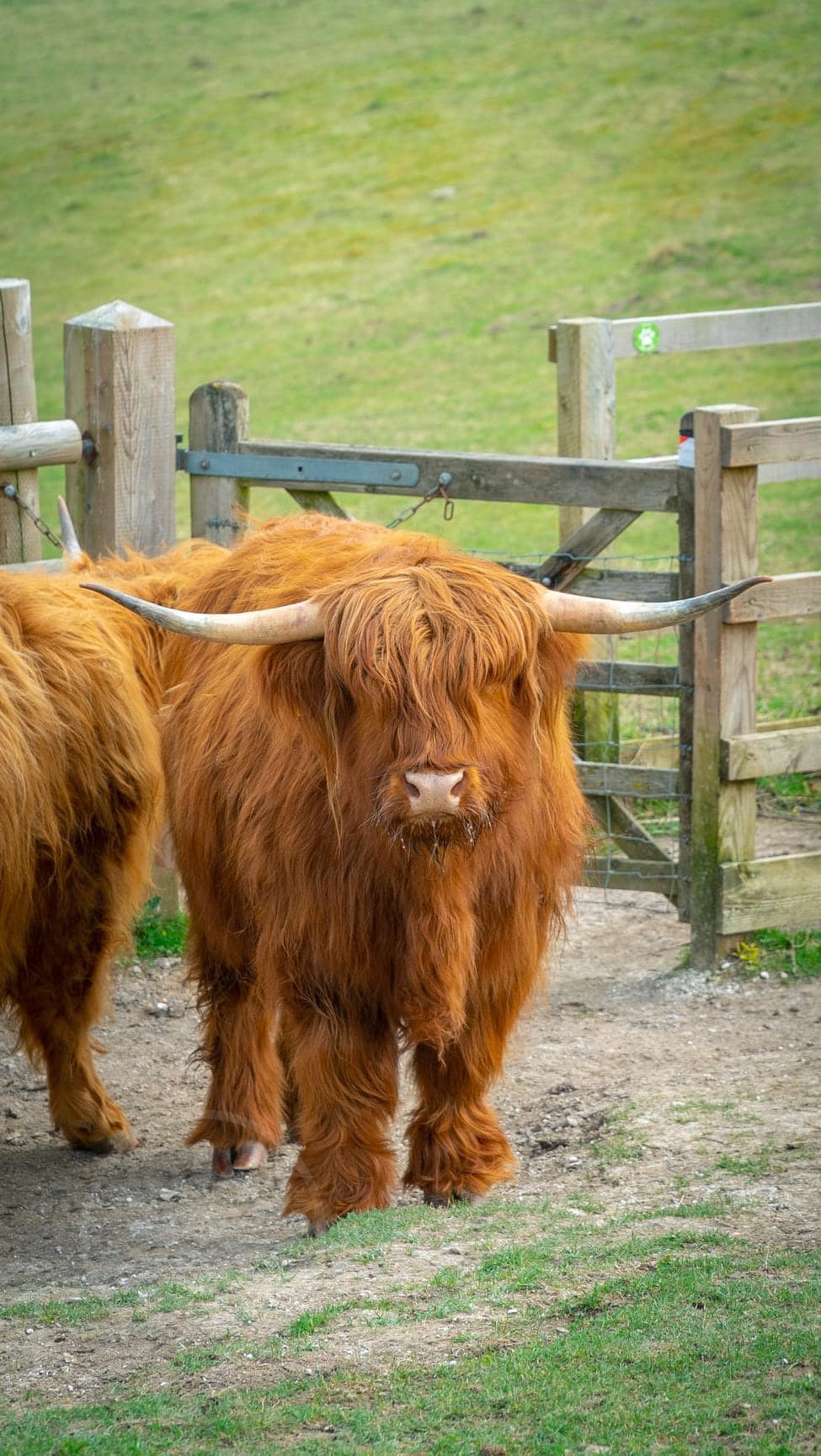 A beautiful 20km circular walk around Stockbridge, Test Valley - Our ...