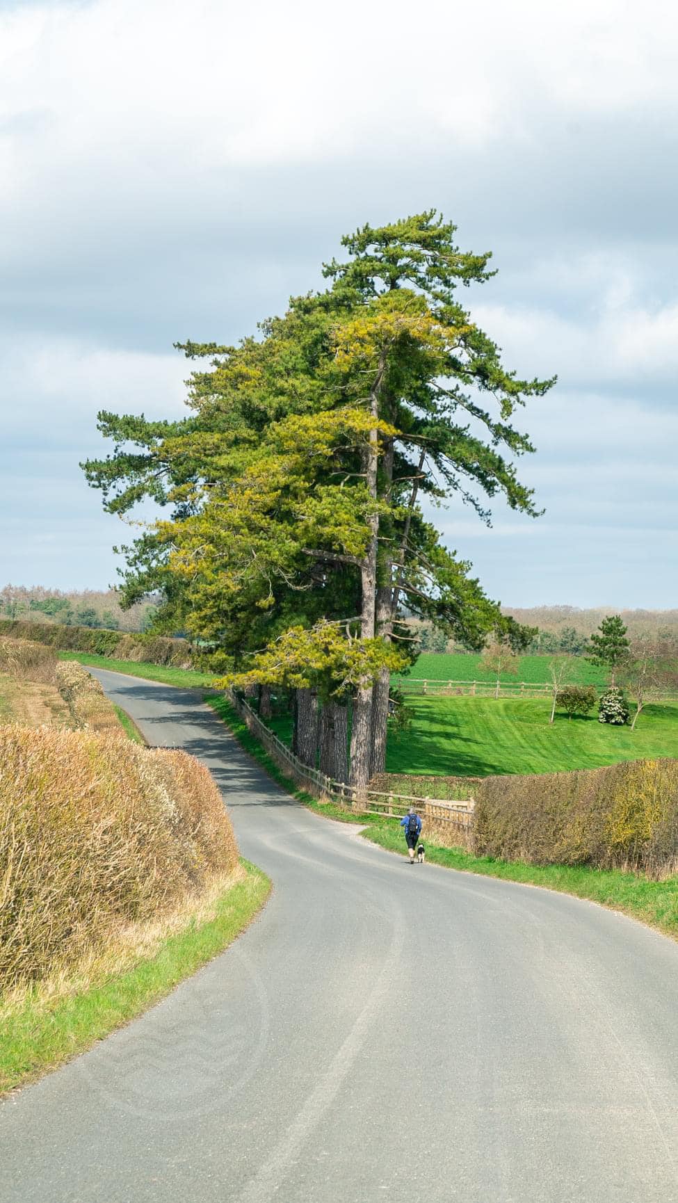 A beautiful 20km circular walk around Stockbridge, Test Valley - Our ...