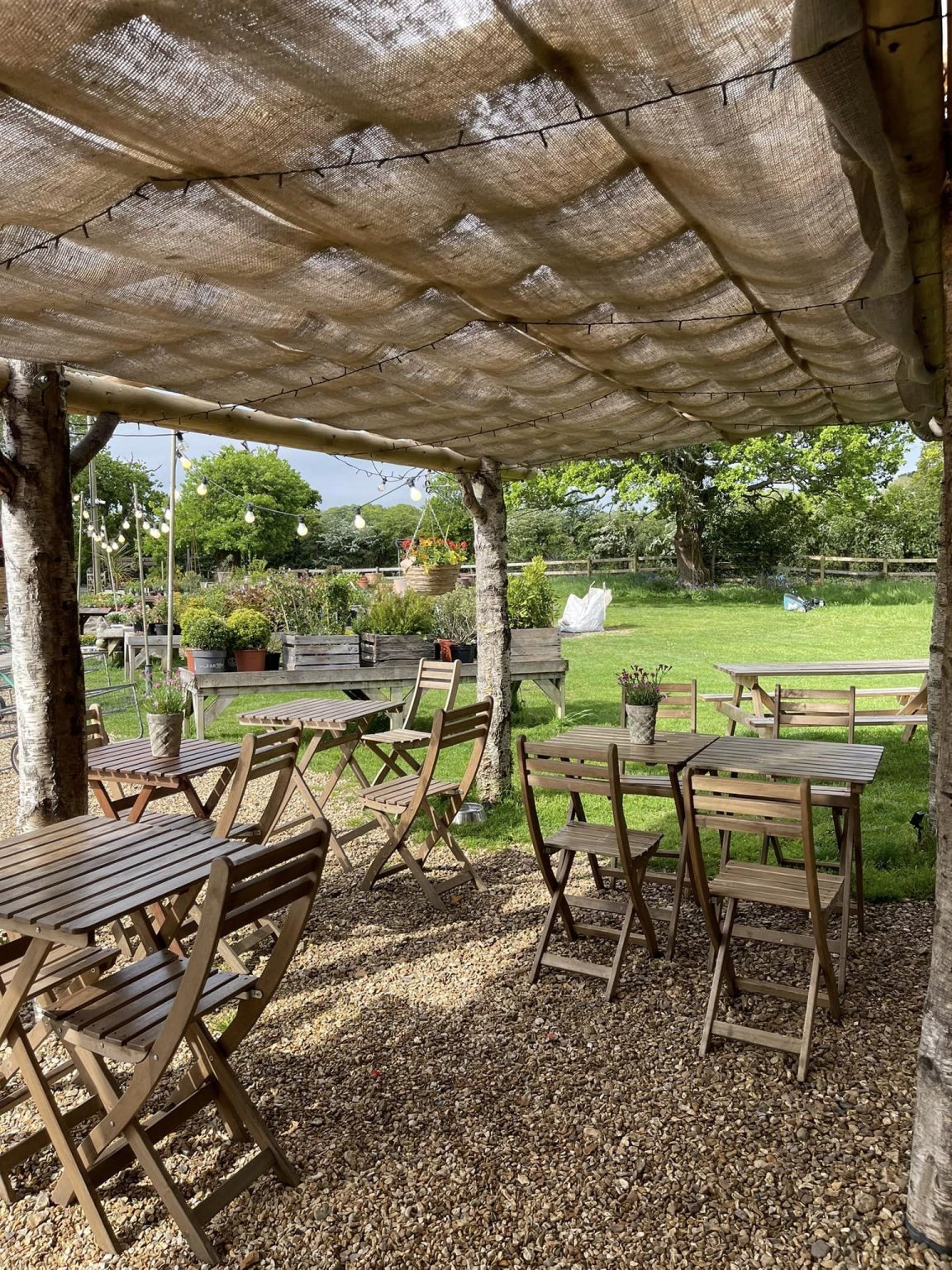 7 Must visit New Forest coffee spots - Our Hampshire