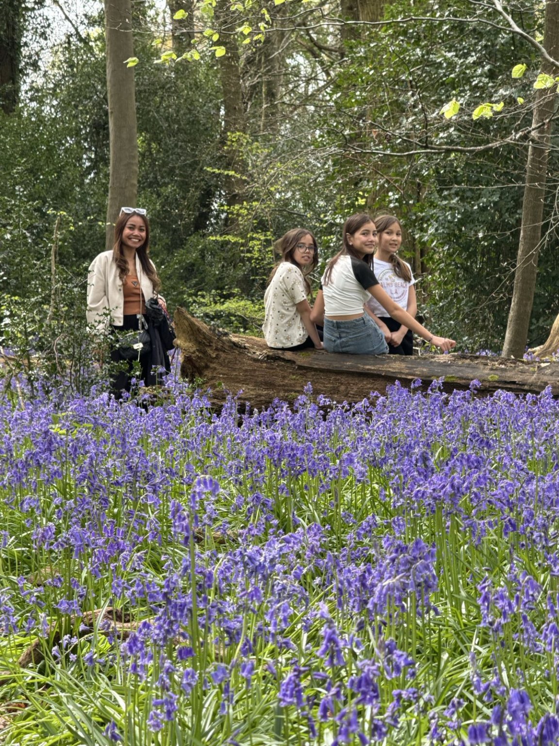 5 Beautiful bluebells spots to visit in Hampshire - Our Hampshire