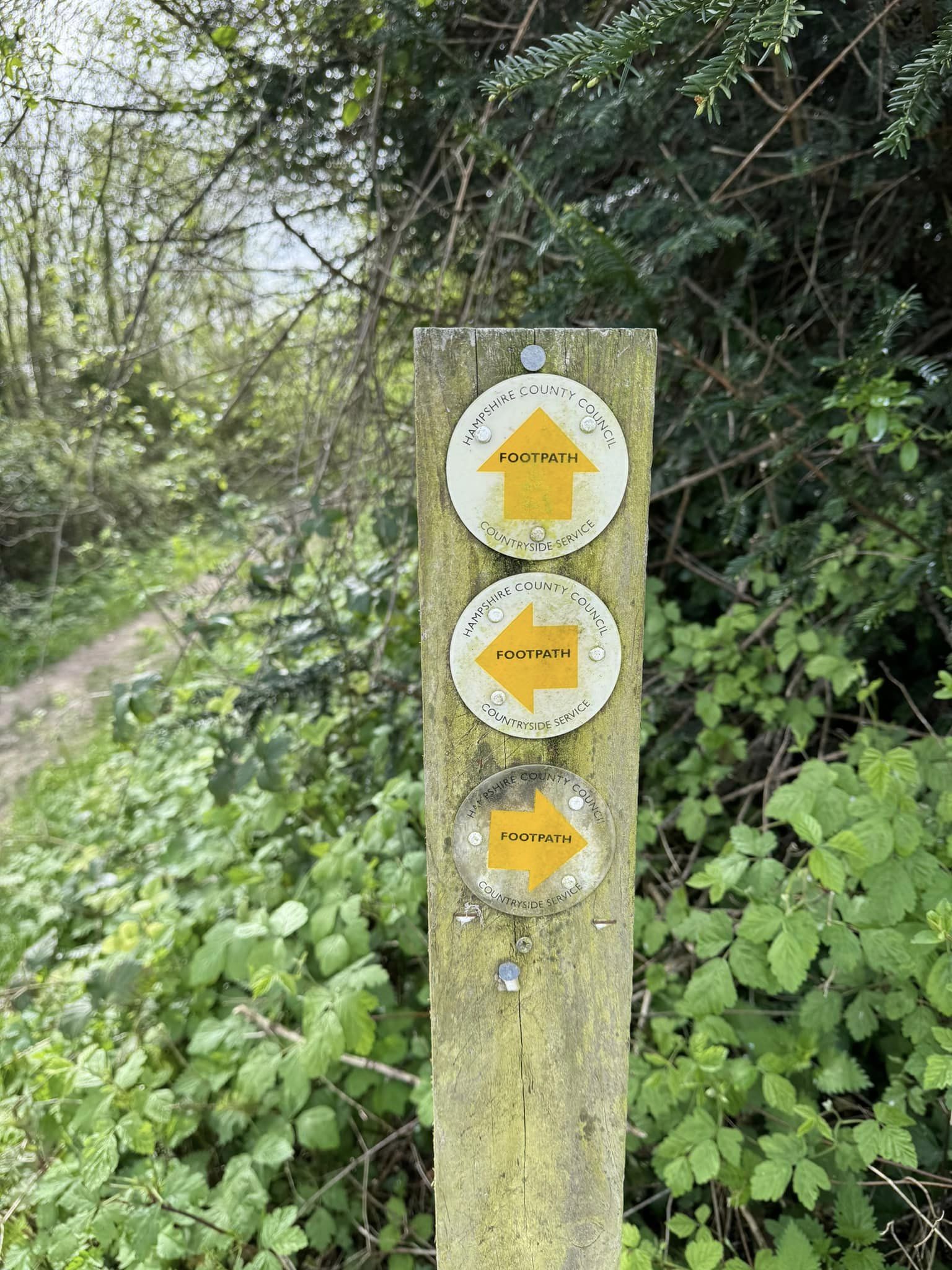 Brilliant countryside walk, and a great pub garden in Upham - Our Hampshire
