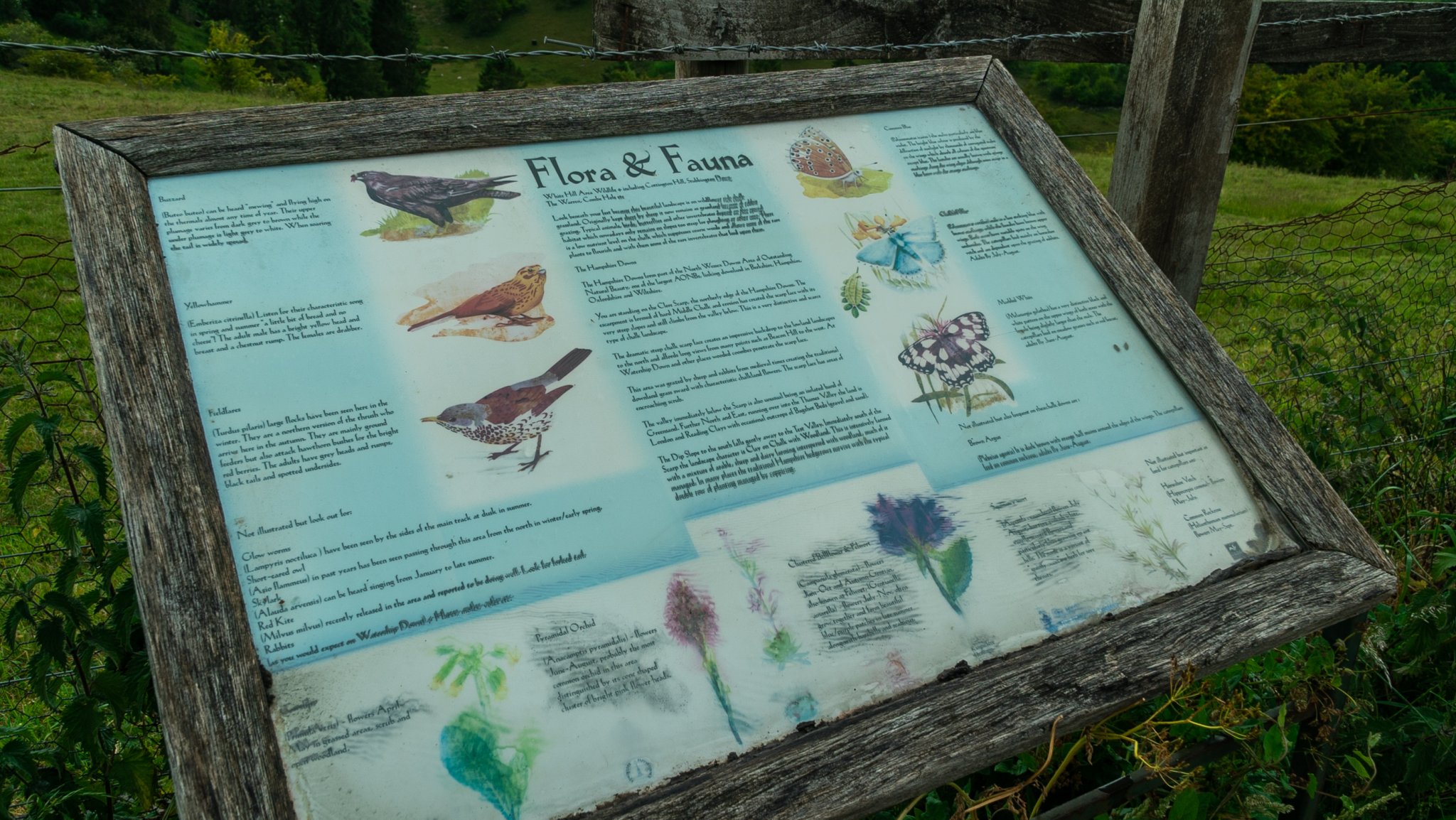 Wayfarers Walk, the ultimate long-distance Hampshire trail - Our Hampshire