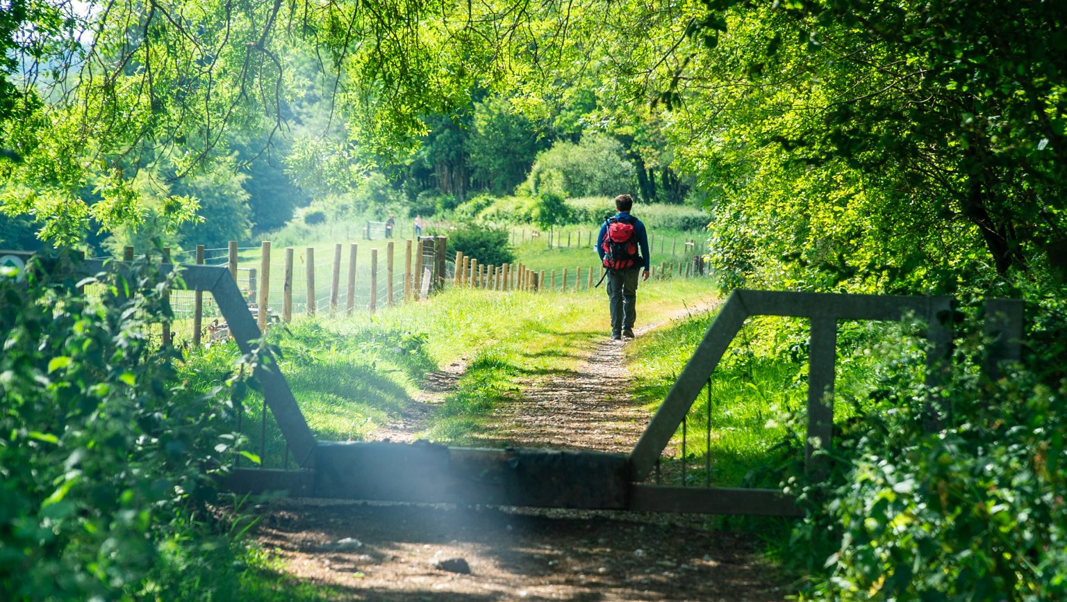 Wayfarers Walk, the ultimate long-distance Hampshire trail - Our Hampshire