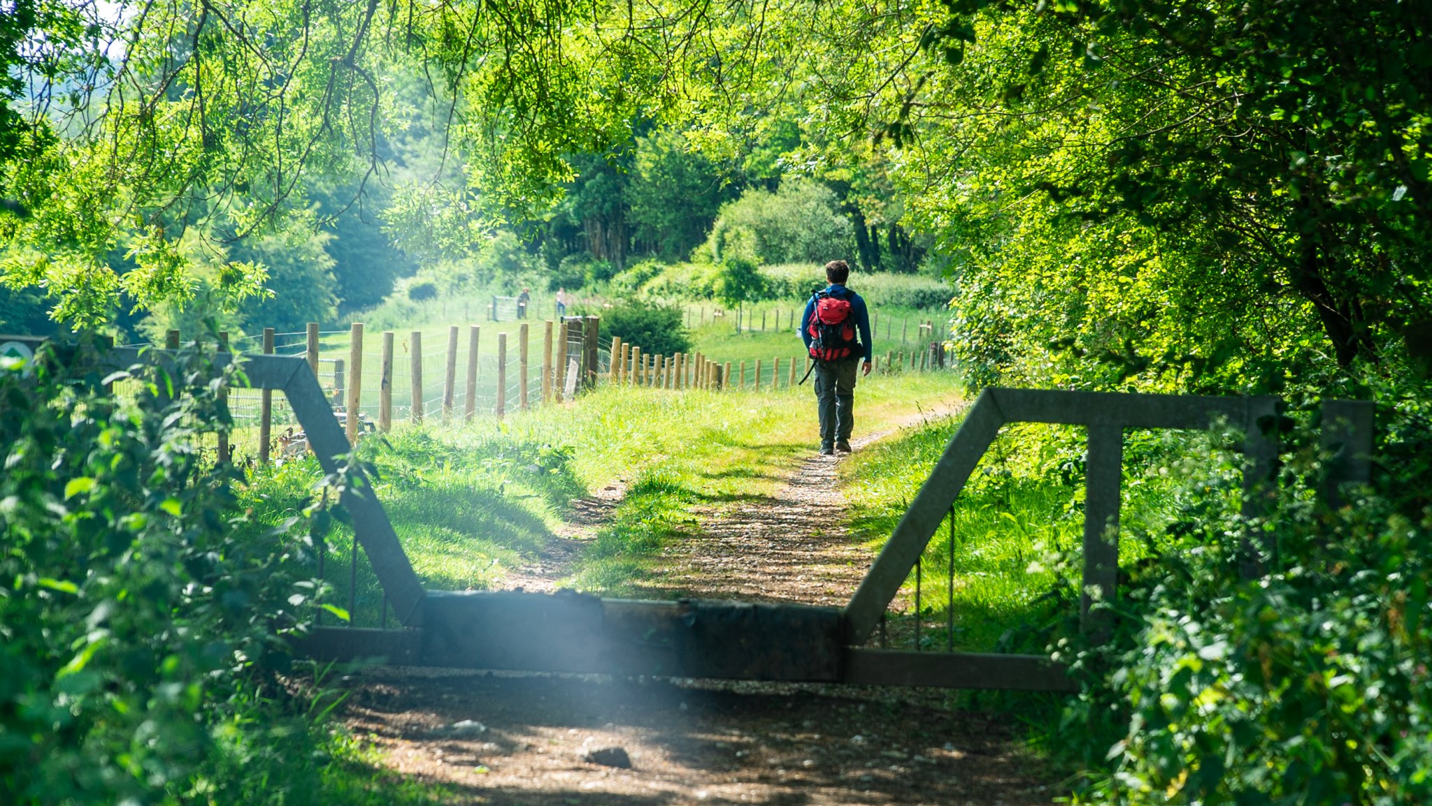 Wayfarers Walk, the ultimate long-distance Hampshire trail - Our Hampshire