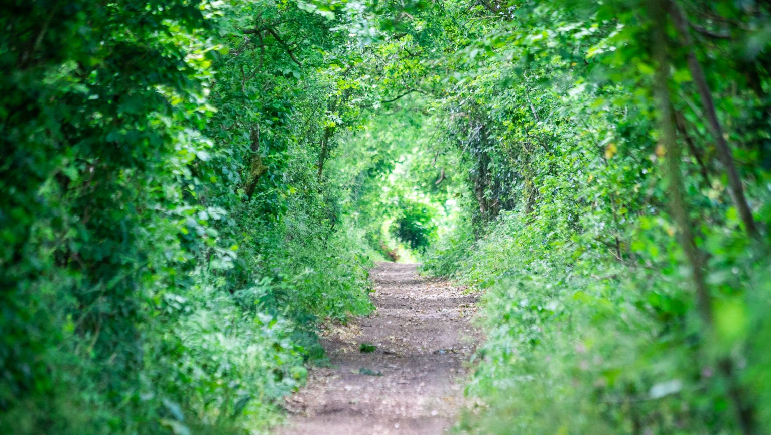 Wayfarers Walk, the ultimate long-distance Hampshire trail - Our Hampshire