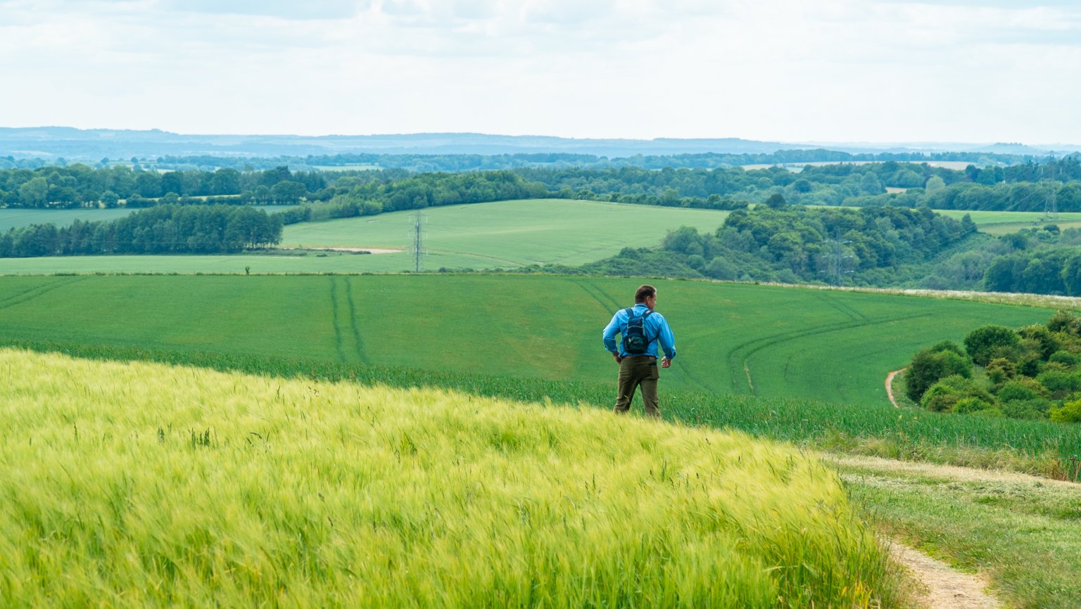 Wayfarers Walk, the ultimate long-distance Hampshire trail - Our Hampshire
