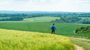 Wayfarers Walk, the ultimate long-distance Hampshire trail - Our Hampshire