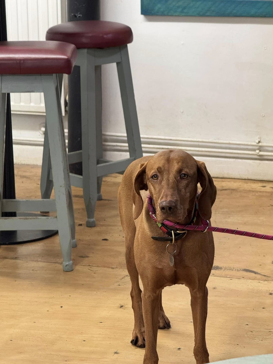 Southampton Coffee Spots - Our Hampshire